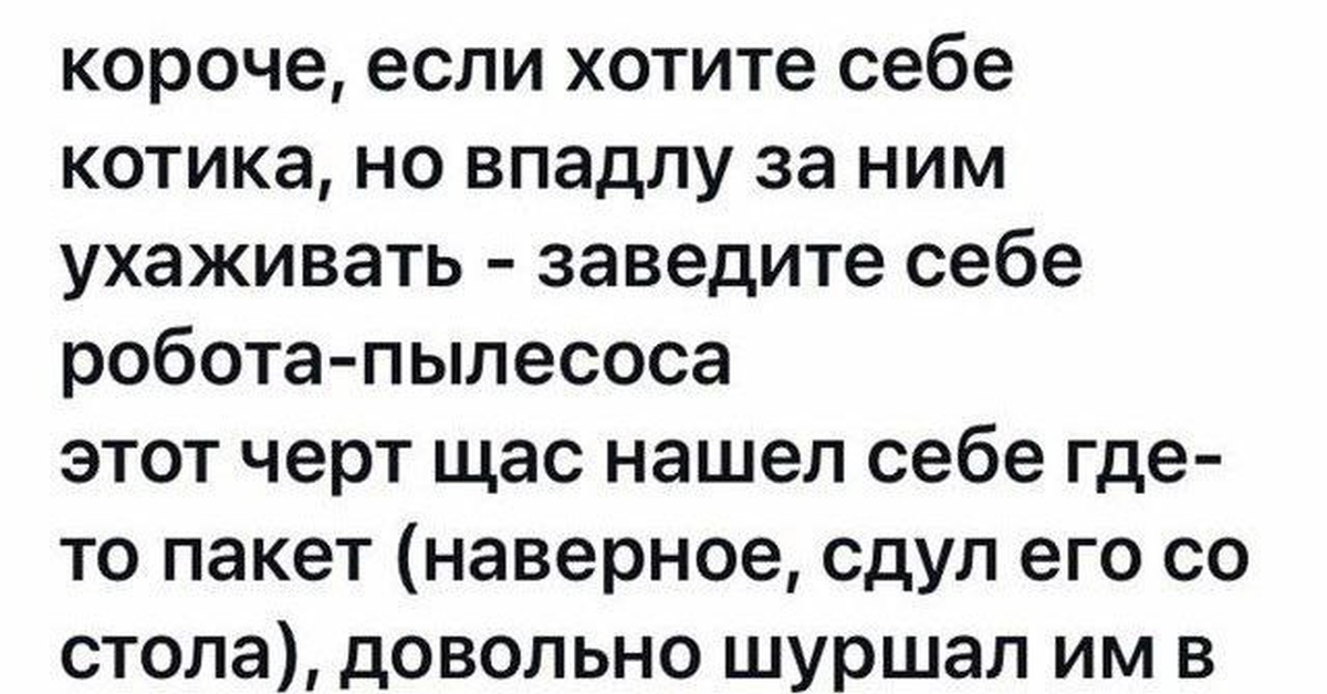 Аналог котика | Пикабу