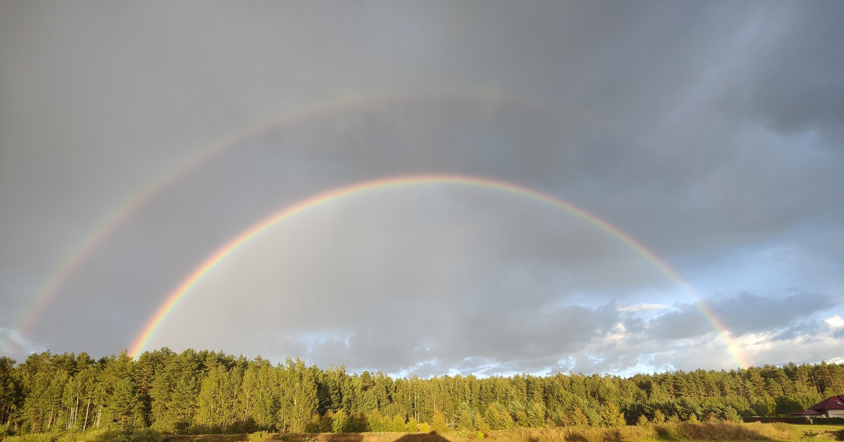 Rainbow - 11.02.24 23:12 | Пикабу