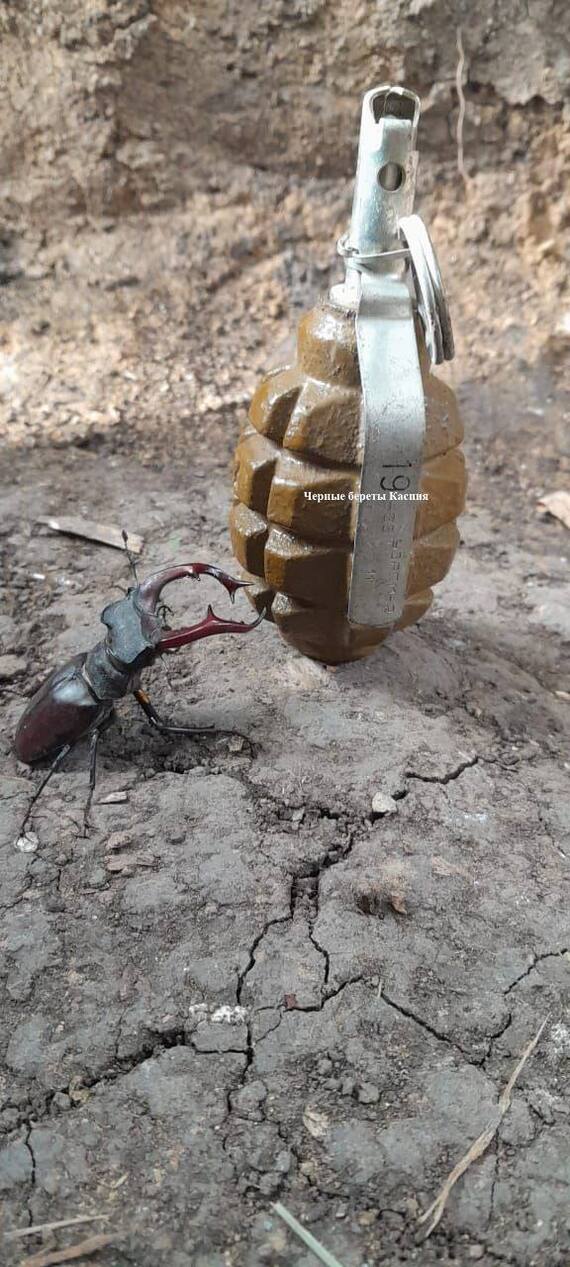 Боевые жуки каспийских морпехов | Пикабу
