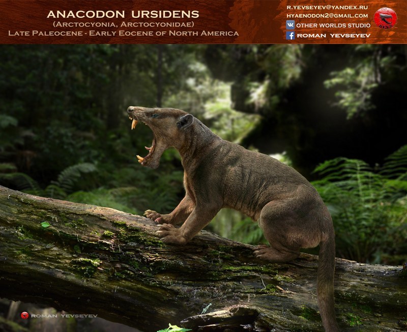 Анакодоны — Anacodon - 12.02.21 00:16 | Пикабу