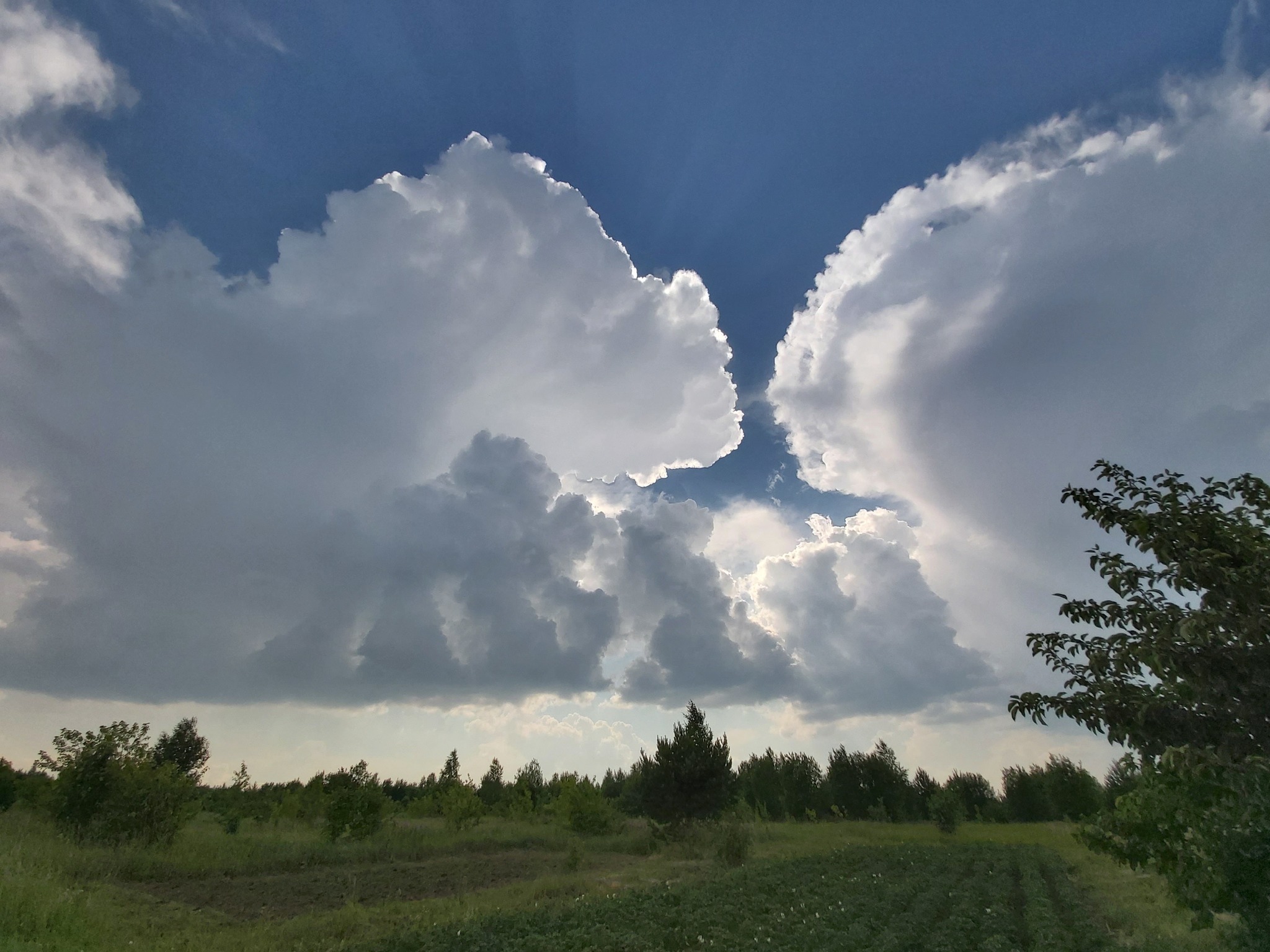 Облака | Пикабу