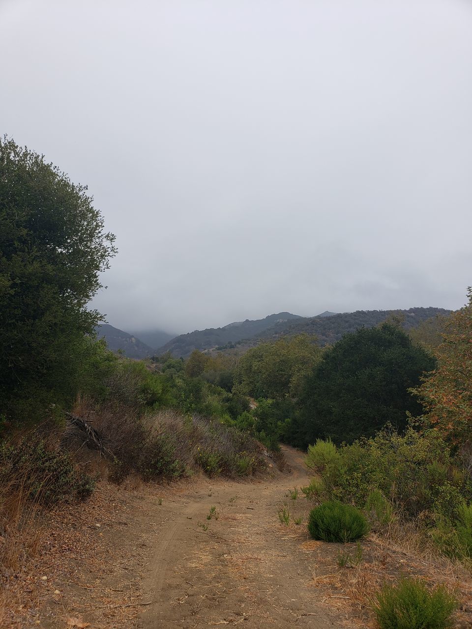 Baron Ranch - я вернулся! - 27.08.21 02:48 | Пикабу