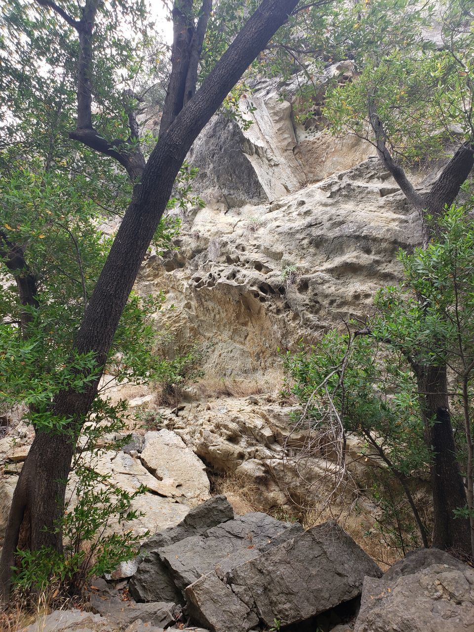 Baron Ranch - я вернулся! | Пикабу