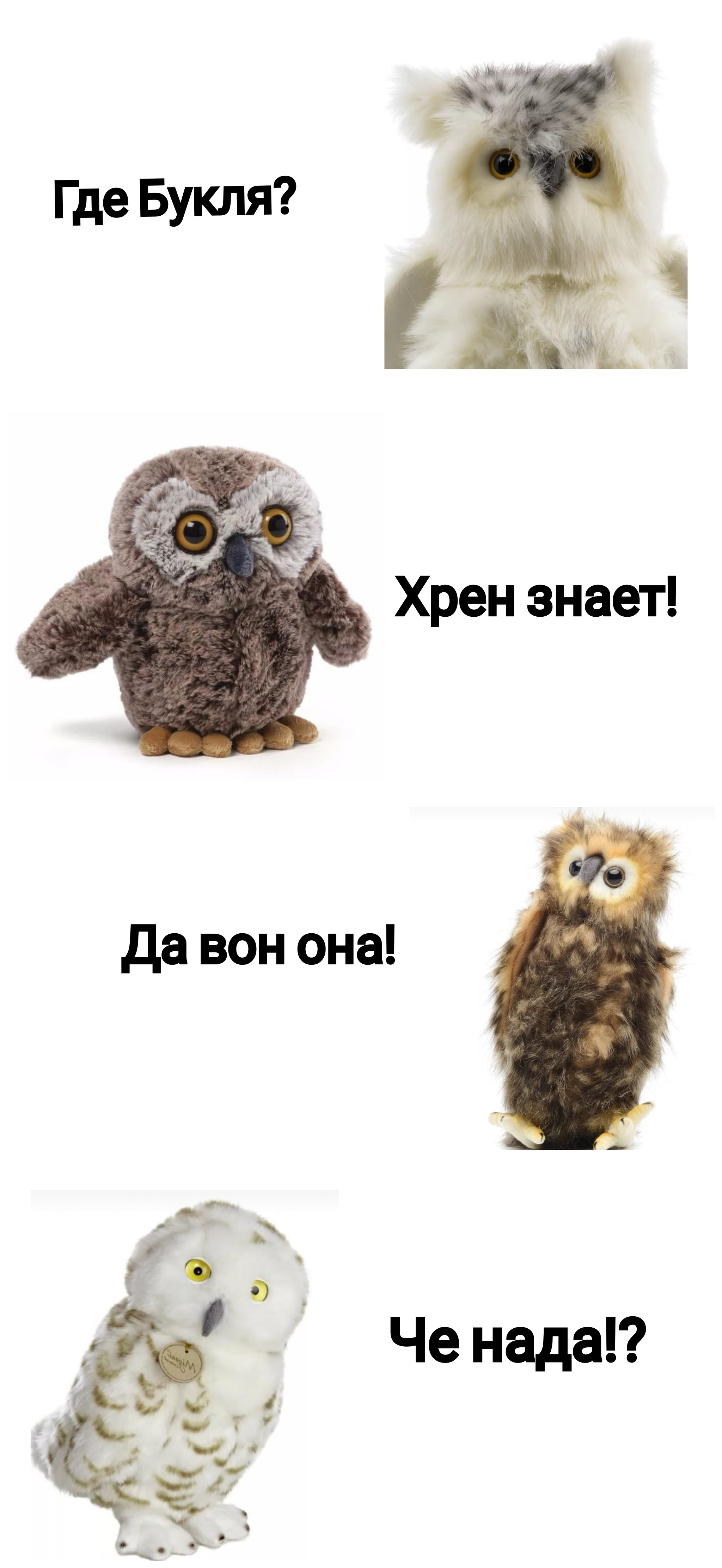 Где Букля? | Пикабу