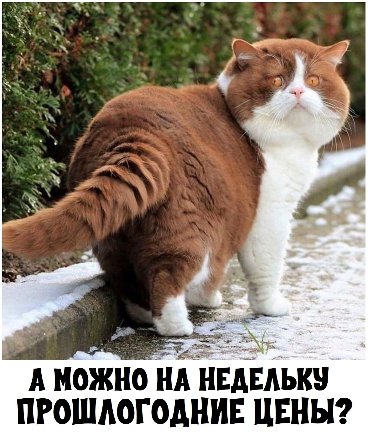 ПАЖАЛУСТА | Пикабу