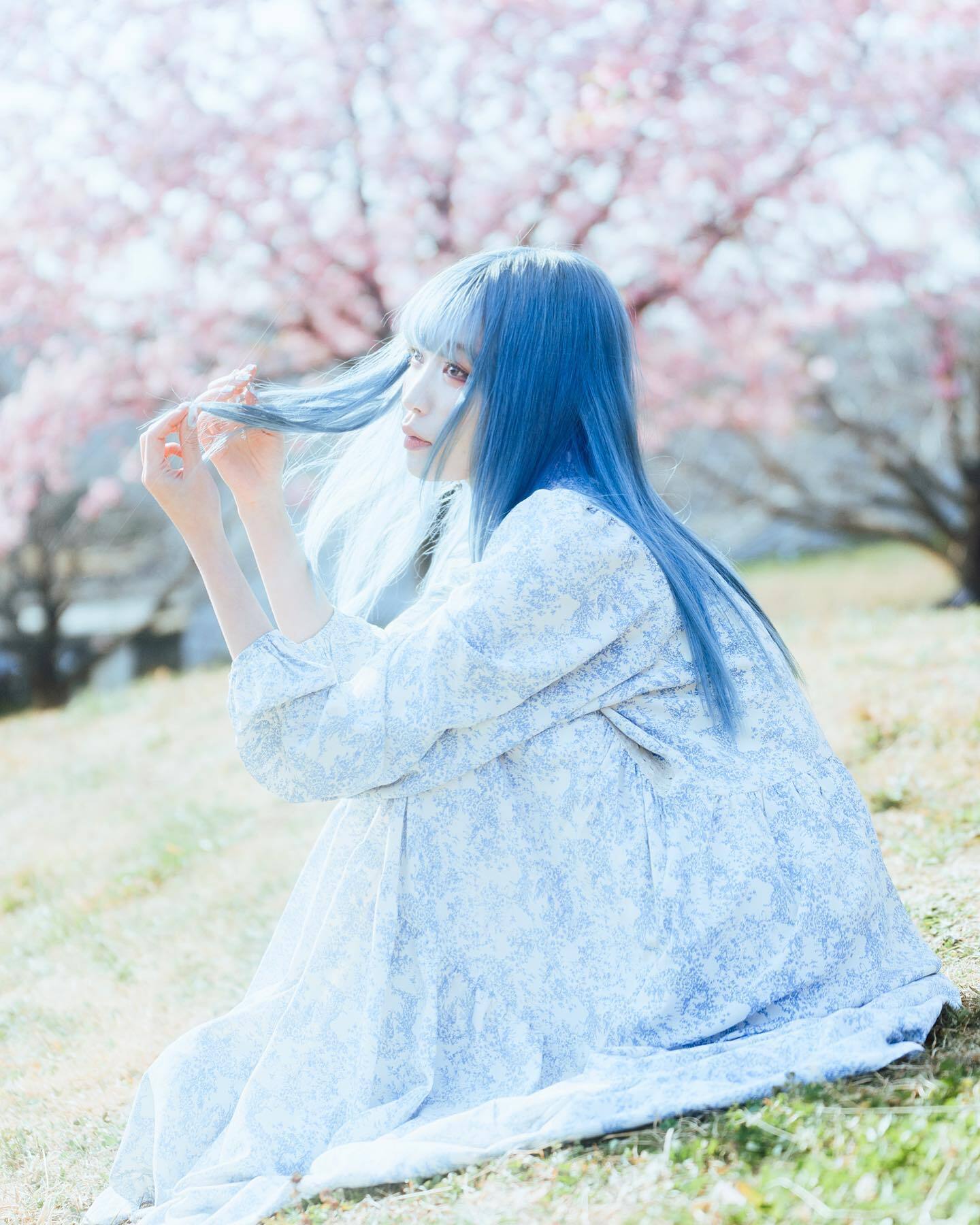 Spring blue | Пикабу