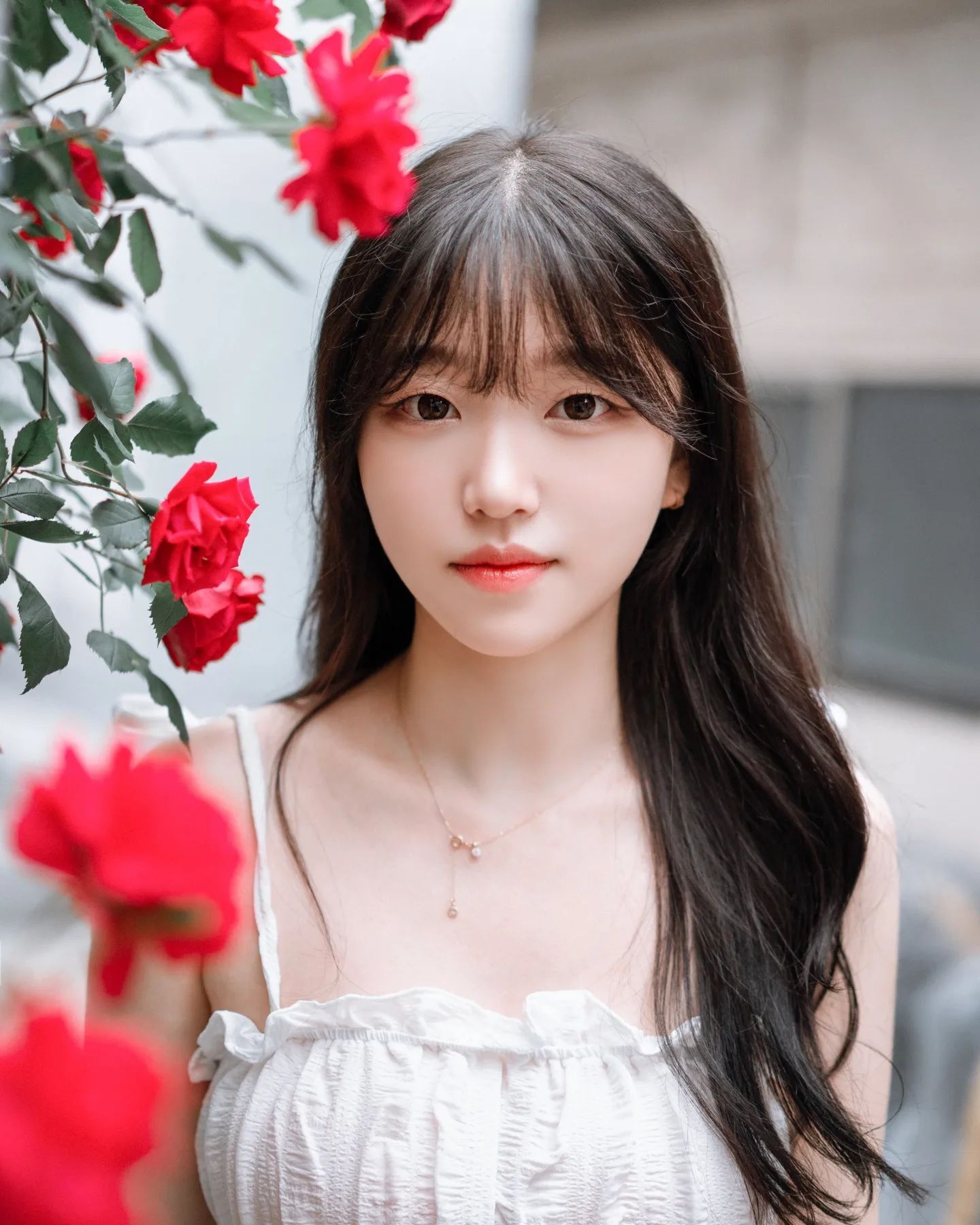 Rose snap | Пикабу