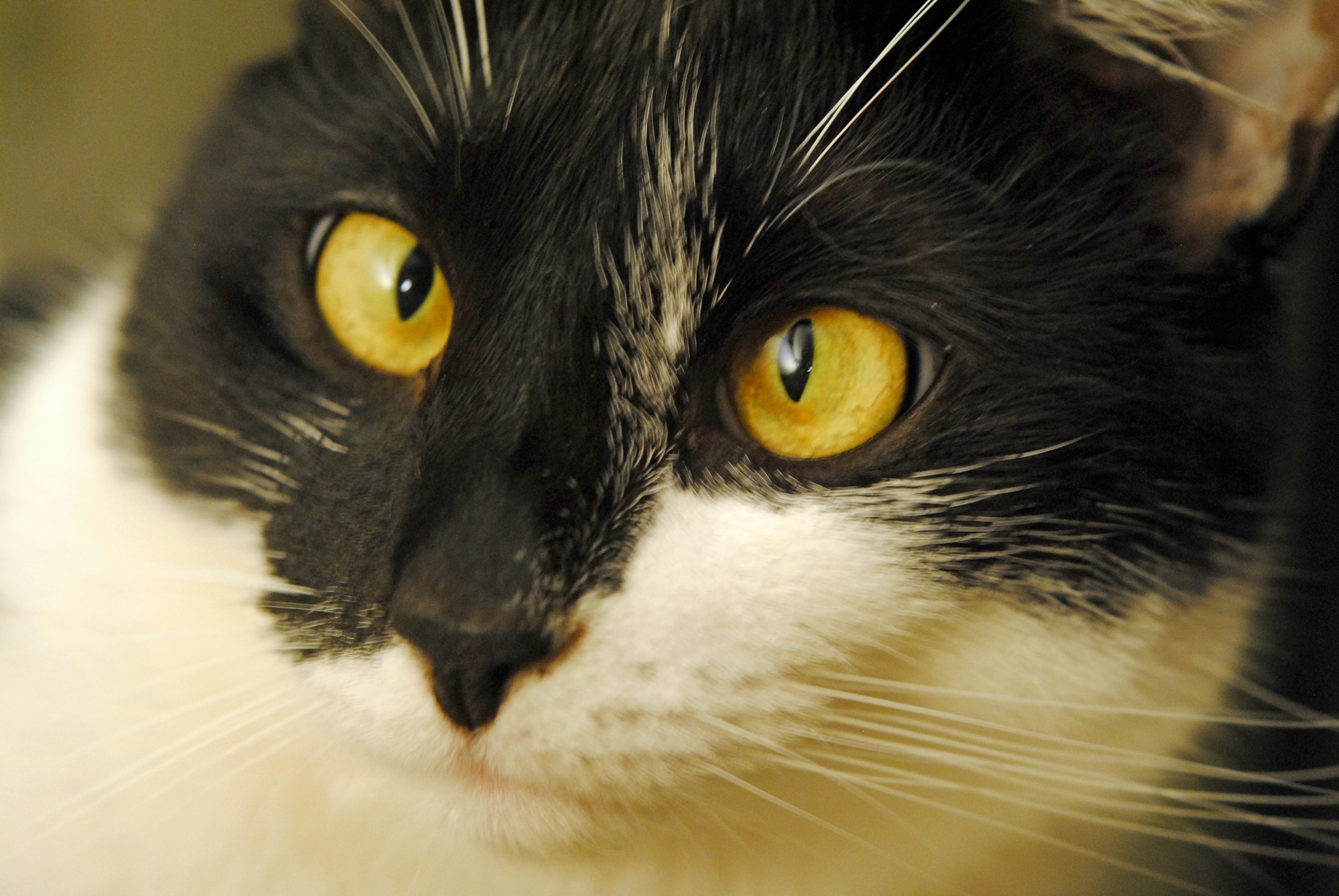 Тёма | Пикабу