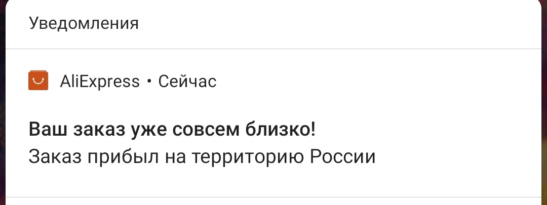 Гробик на колесиках | Пикабу