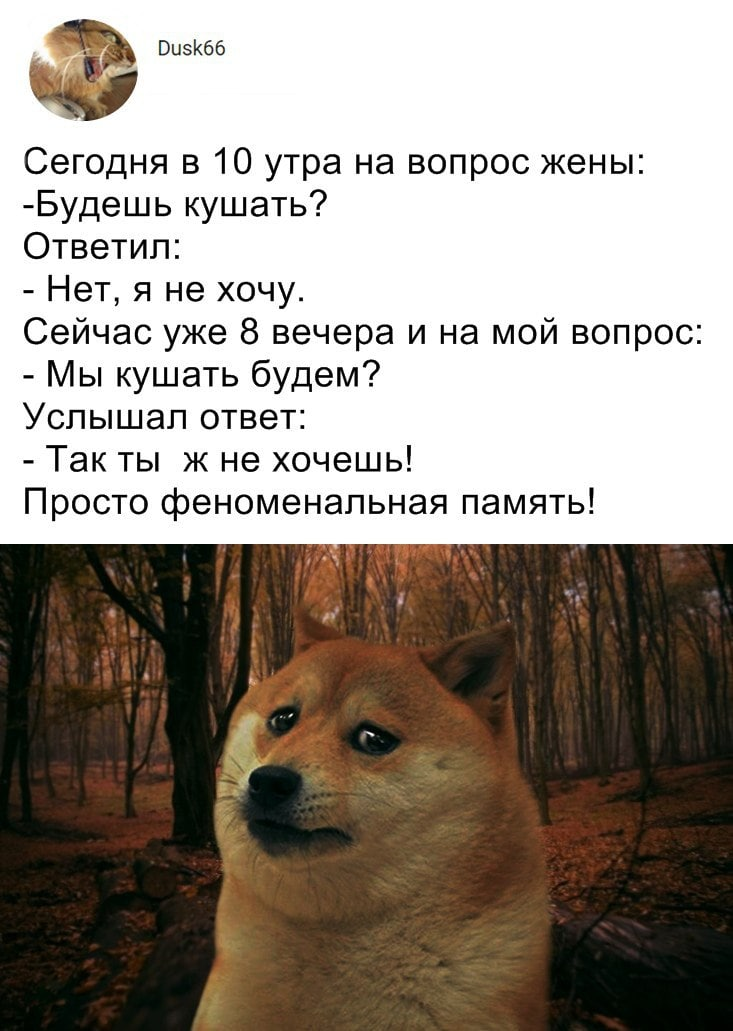 В смысле, ты не хочешь есть навсегда?! | Пикабу