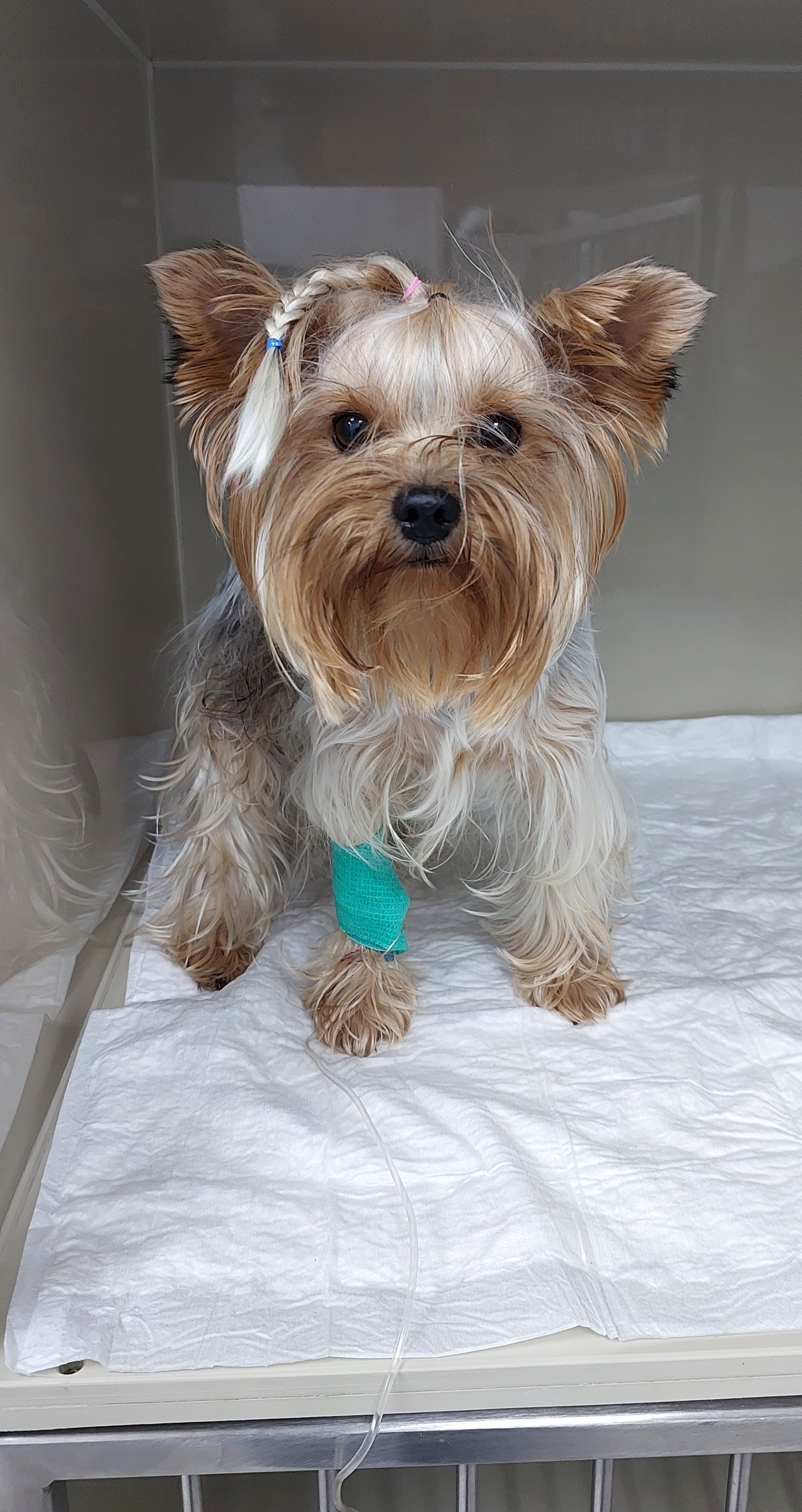 Красотка Мери | Пикабу