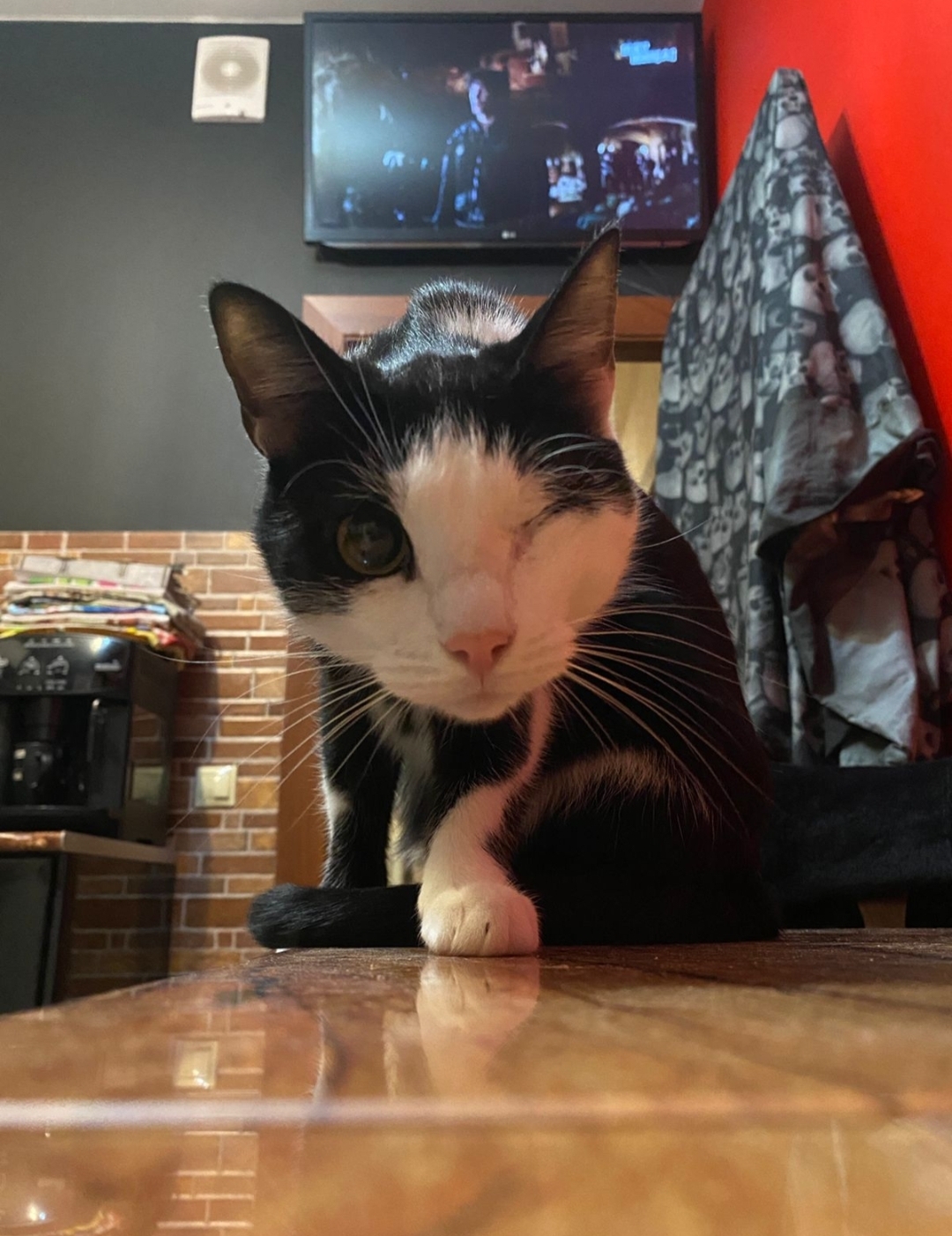 Подружка | Пикабу