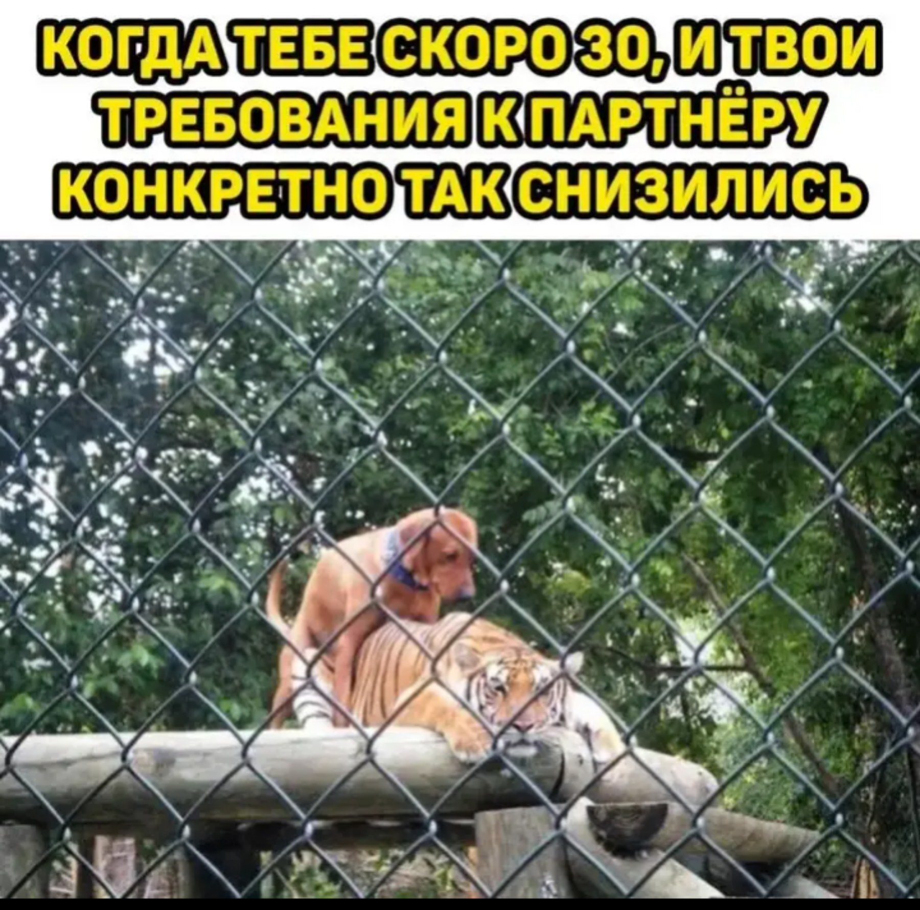 Скоро 30 | Пикабу