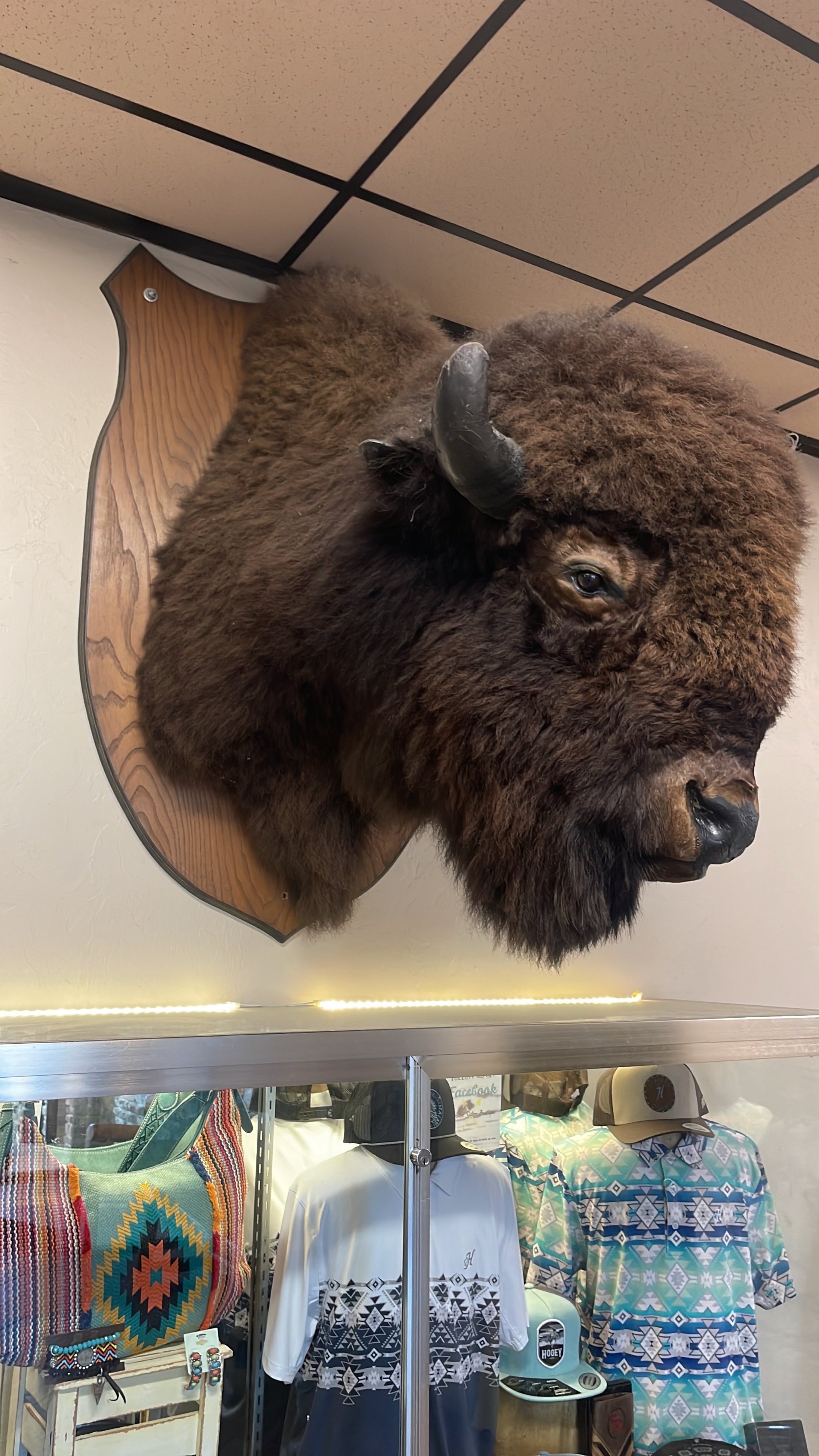 Oklahoma, USА - 03.04.23 04:48 | Пикабу