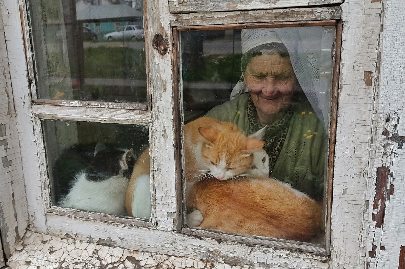 Ответ на пост «Ты приезжай хоть иногда Пикабу