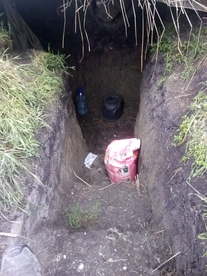 Собаки на ЛБС | Пикабу