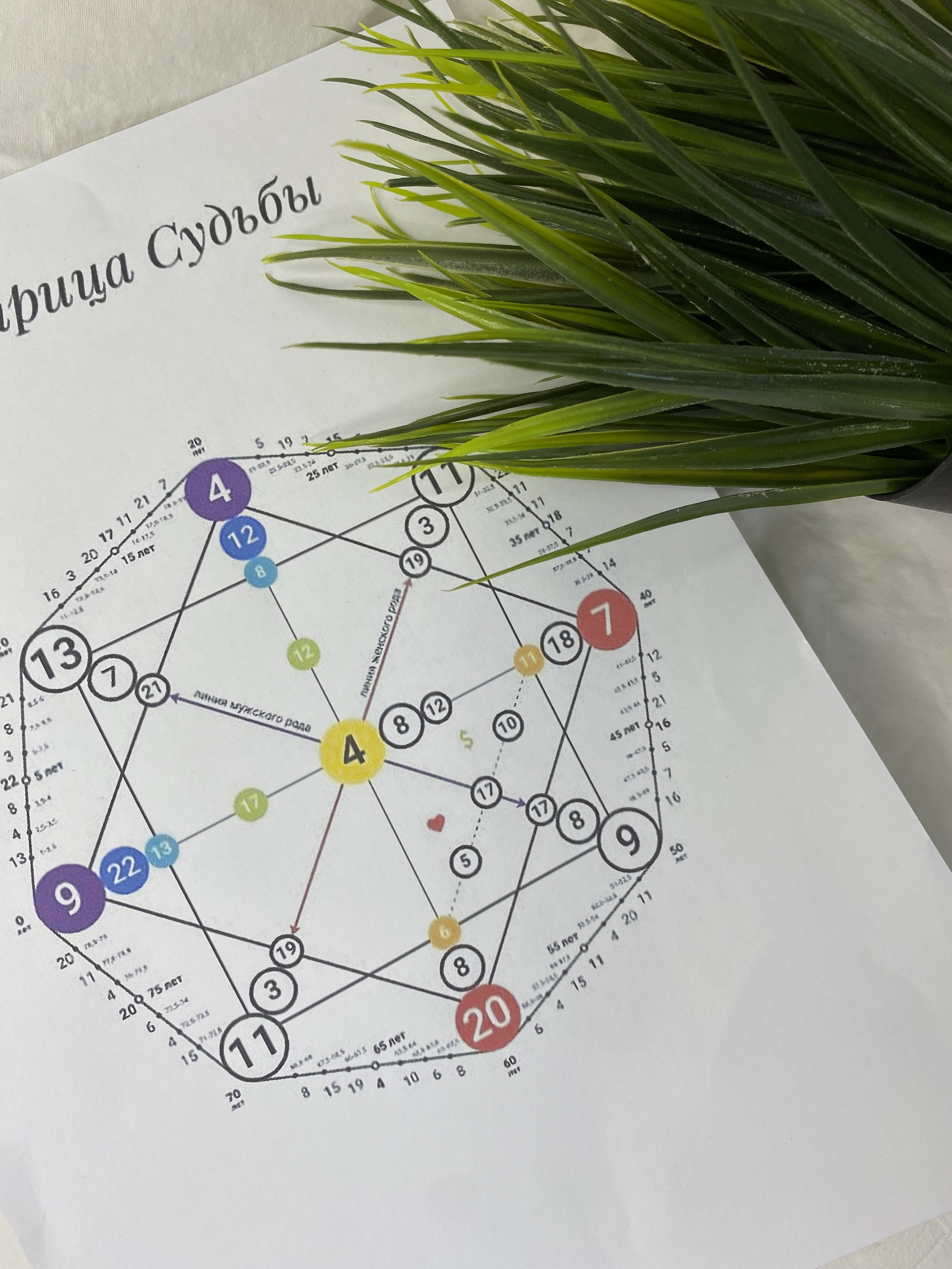 Матрица карта | Obrezka.com