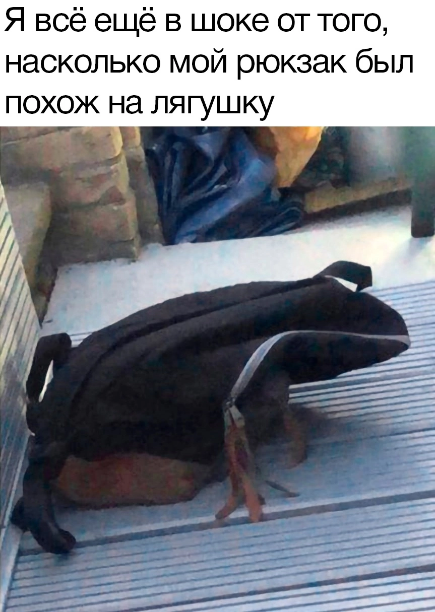 Лягушка | Пикабу