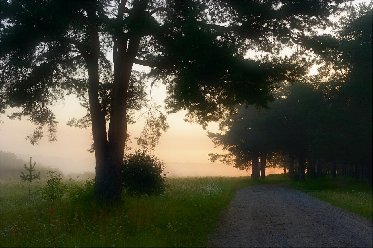 На краю света утром | Пикабу