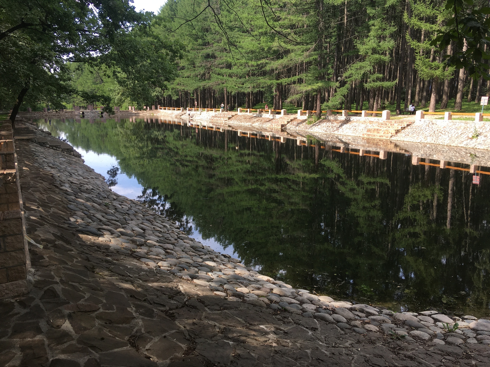 Дон. Начало | Пикабу