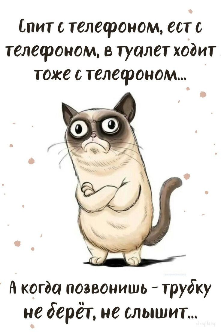Коротко о кратком Пикабу