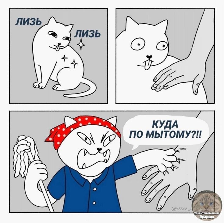 Не смей! | Пикабу