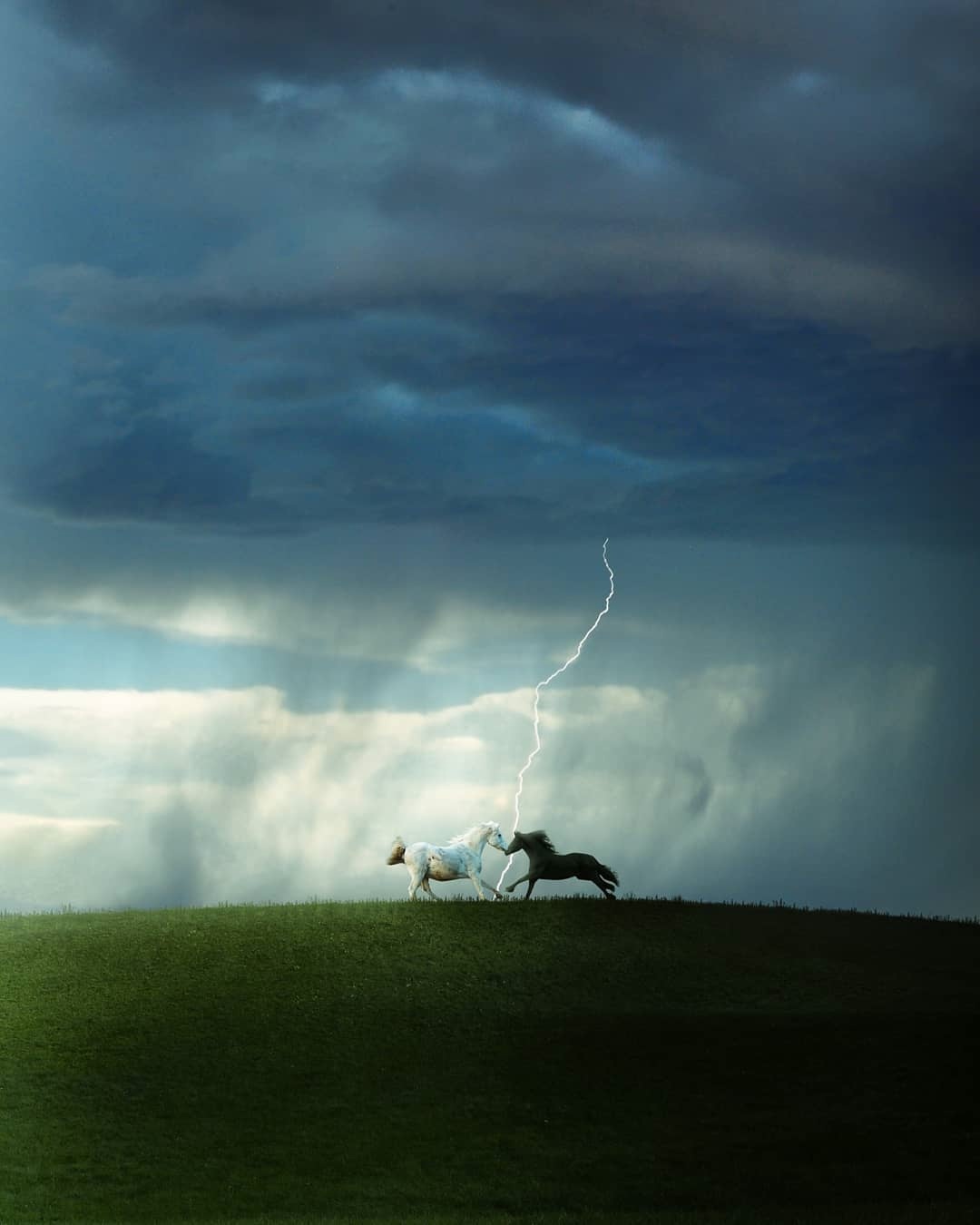 Удивительные кадры Milos Simic | Пикабу