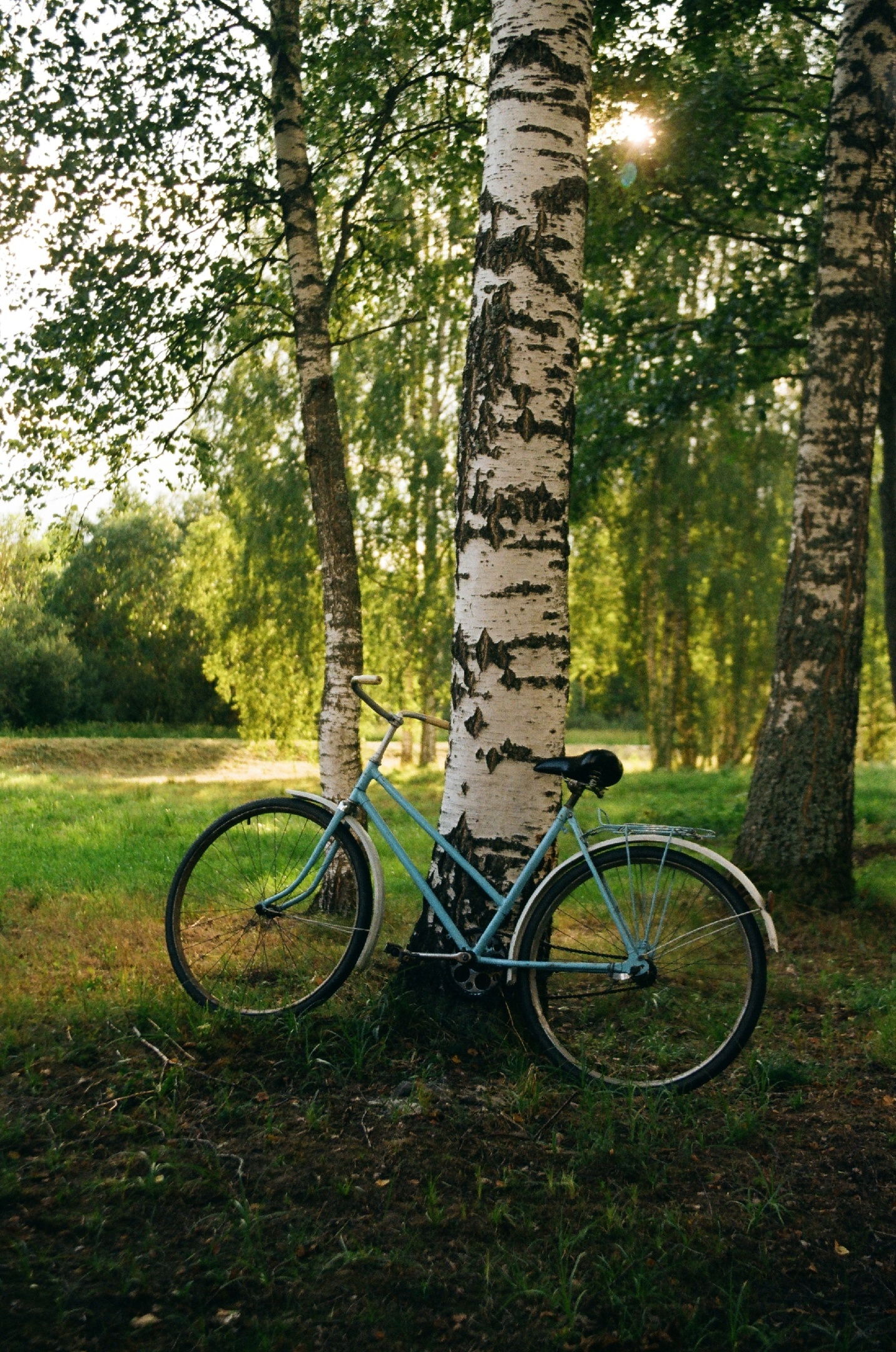 Плёночное лето | Пикабу