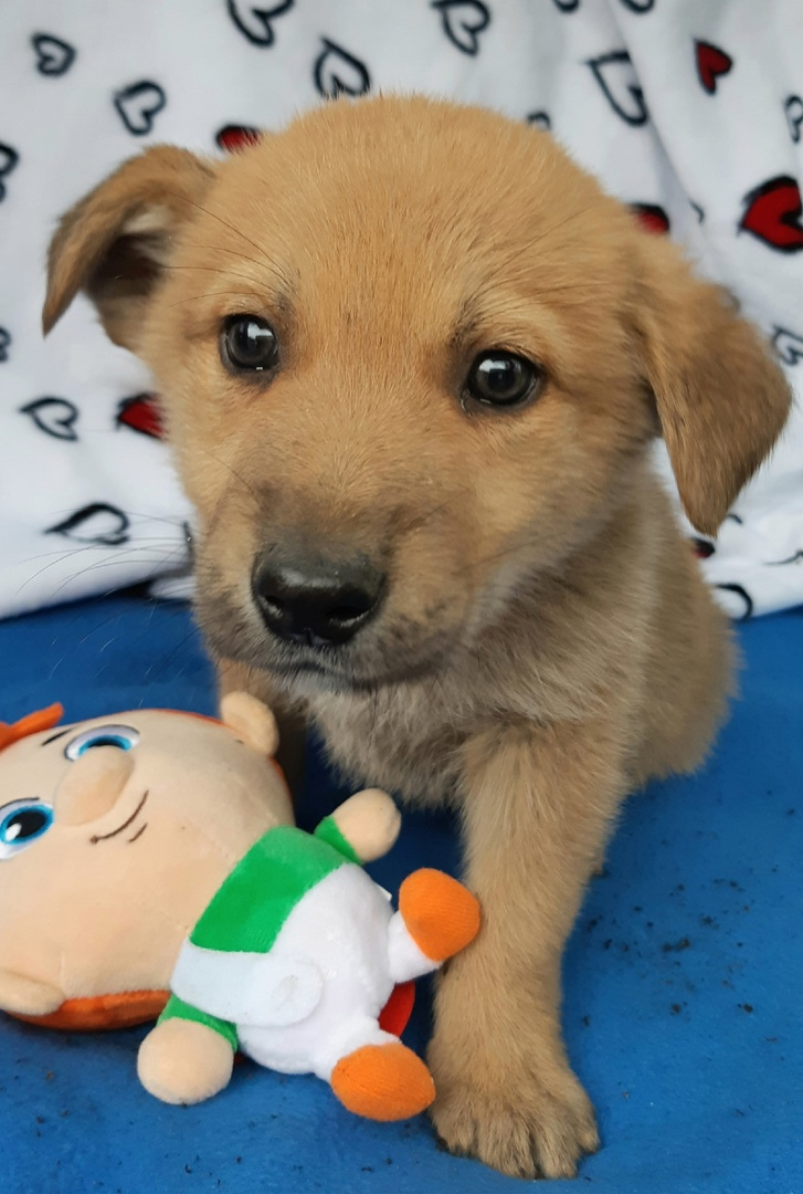 Каспер | Пикабу