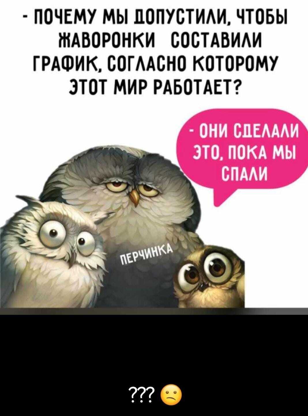 Совы vs Жаворонки | Пикабу