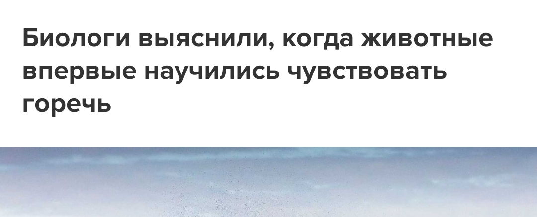 Горечь | Пикабу