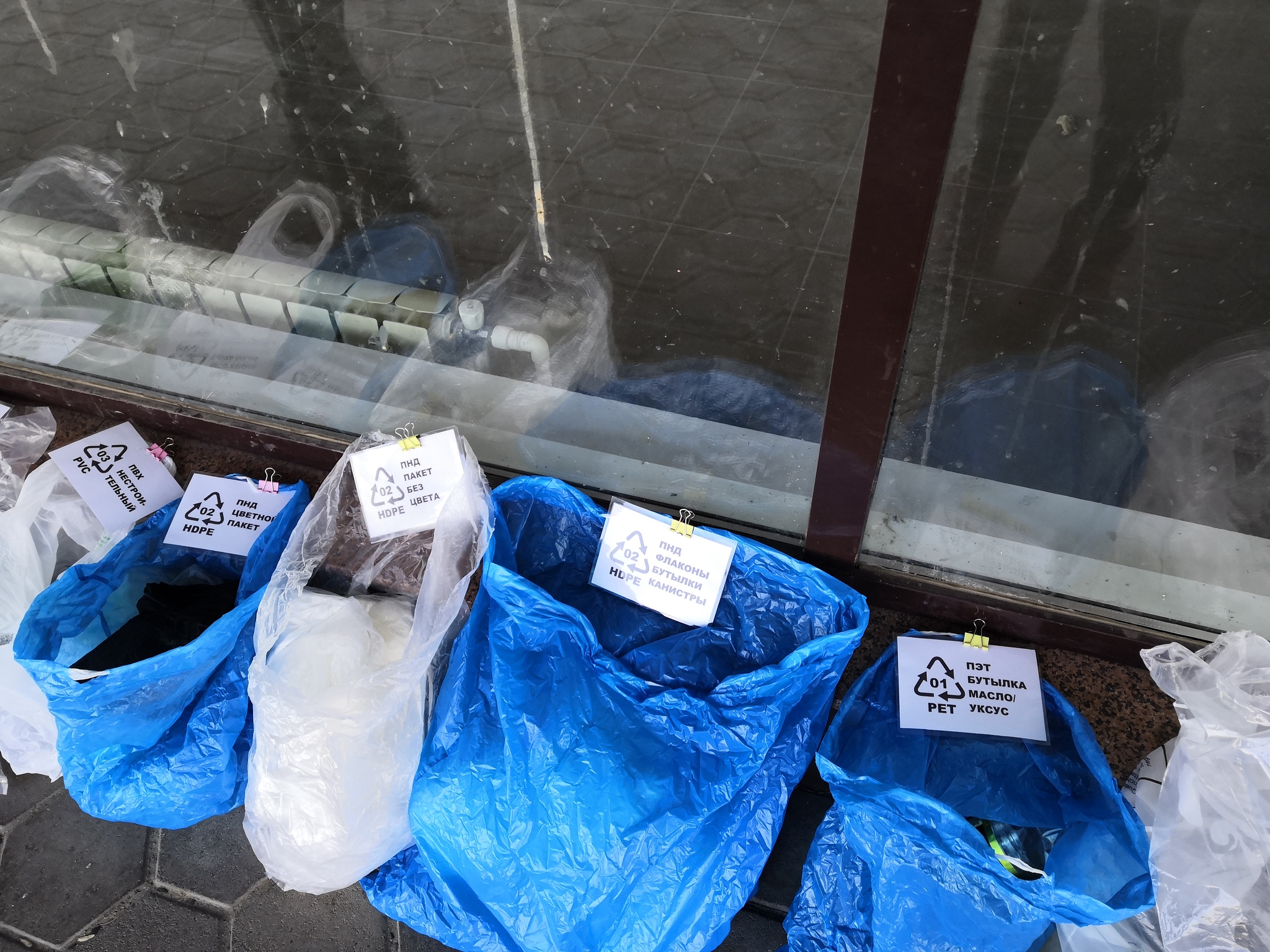 Я экоактивист | Пикабу