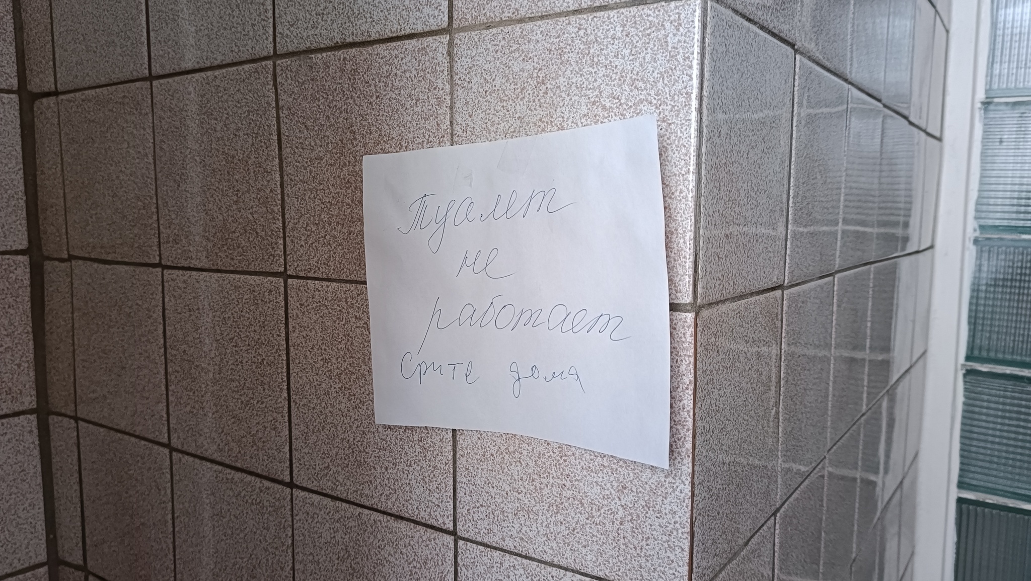 Туалет | Пикабу