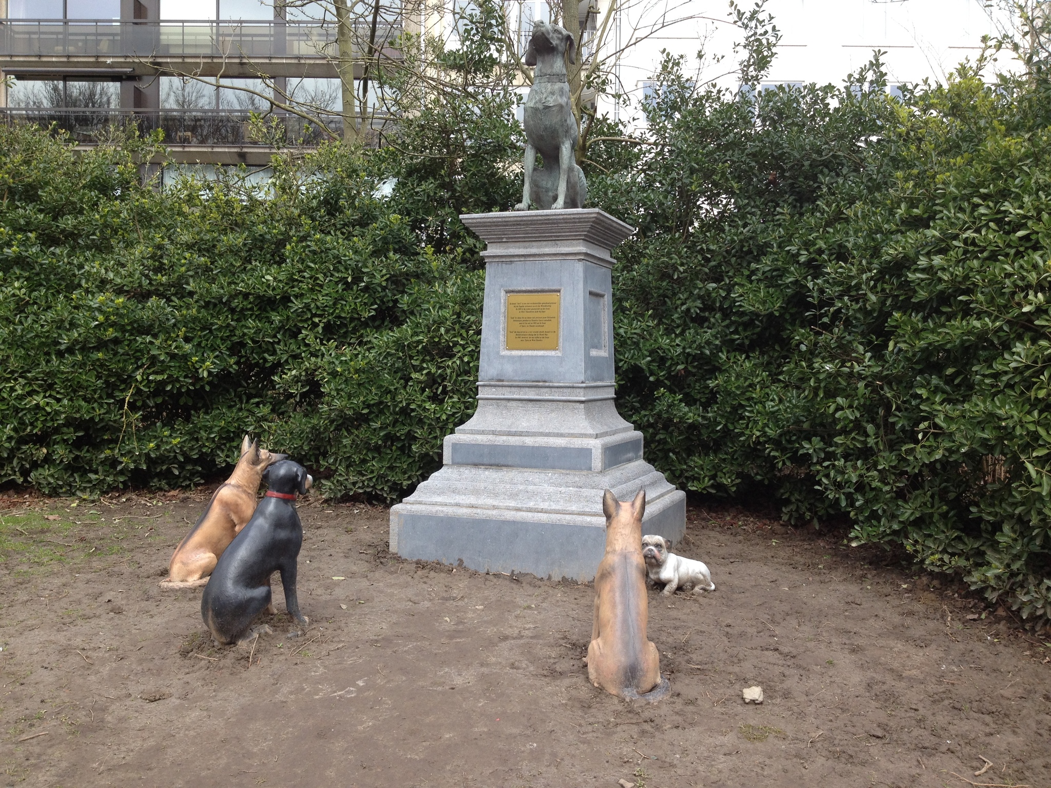 Памятник собаке, Бельгия | Пикабу