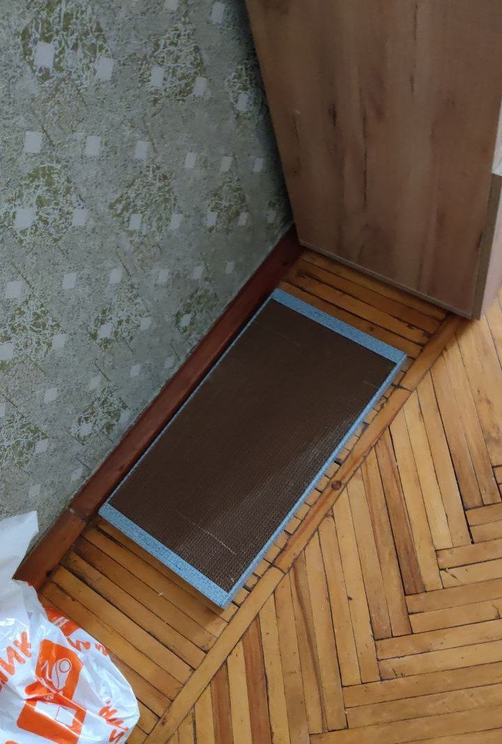 Продолжение поста «Кото гномик Лева ищет дом Примерно 4 5 лет Кастрирован привит обработан