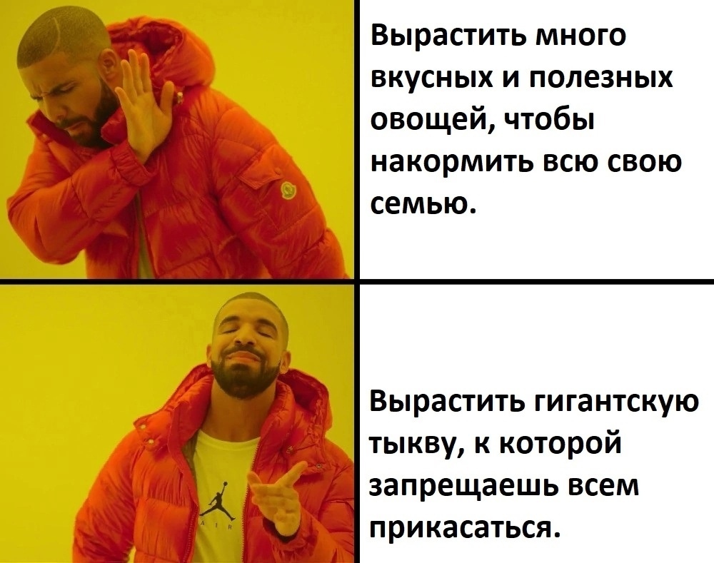 Взошли семена гигантских тыкв за 100€ и 180€ | Пикабу
