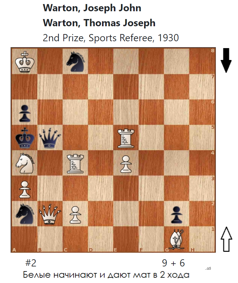 Двухходовочка #190 (..a5) | Пикабу