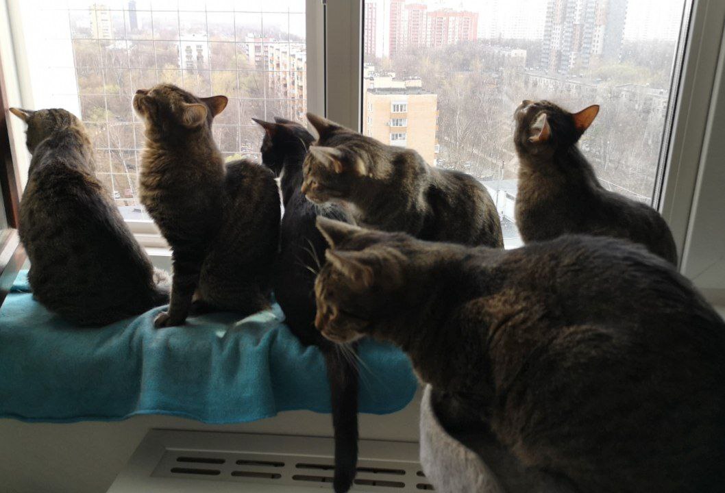 С первой мухой, друзья | Пикабу