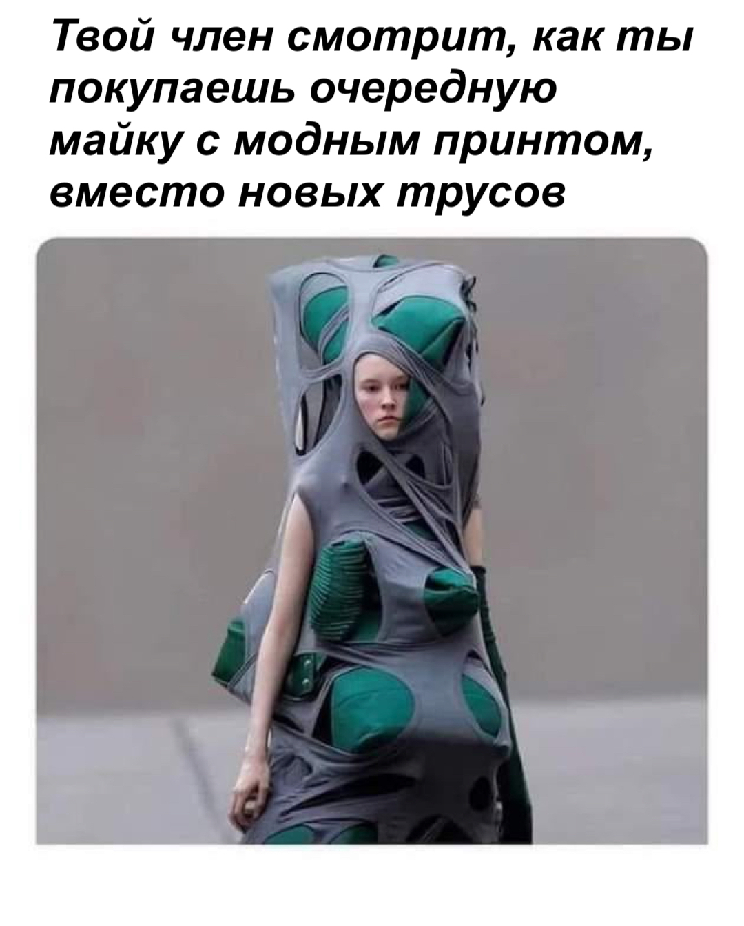 Новые трусы | Пикабу