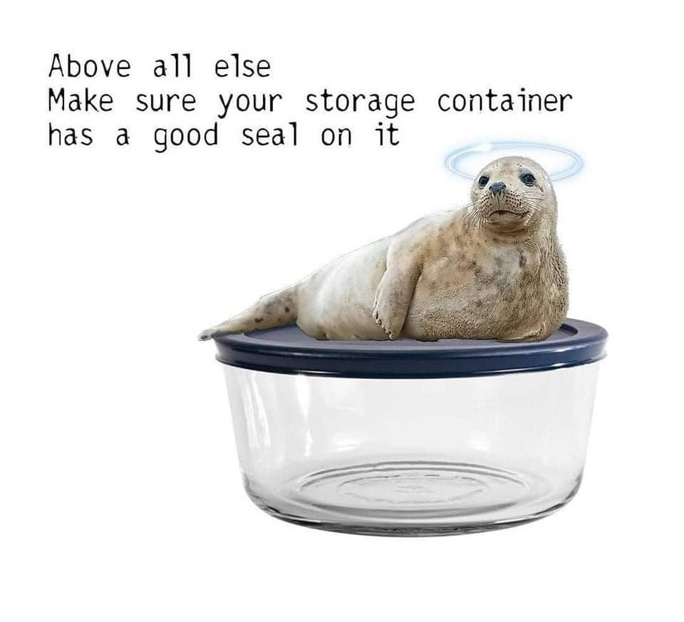 Good Seal | Пикабу