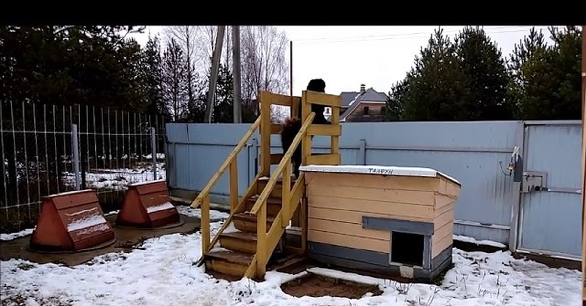 Смотровая вышка | Пикабу