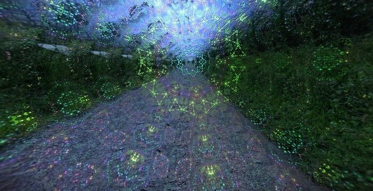 Видео-симуляция трипа от галлюциногенных грибов | Пикабу